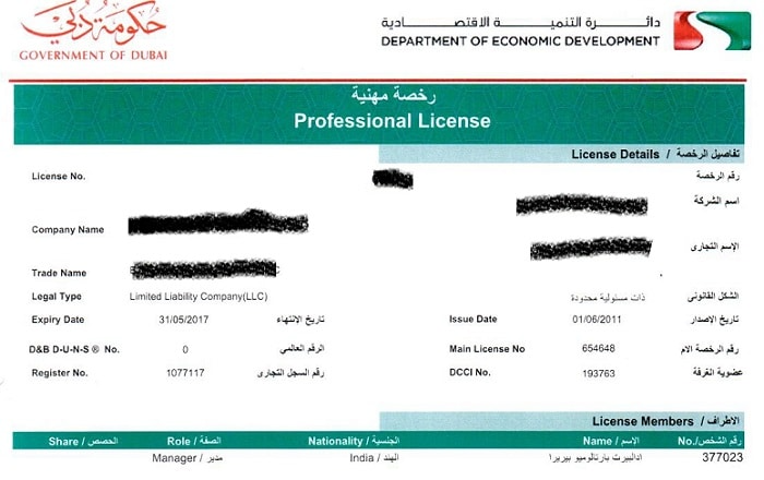 How to Obtain a Professional License In Dubai( For Business)?